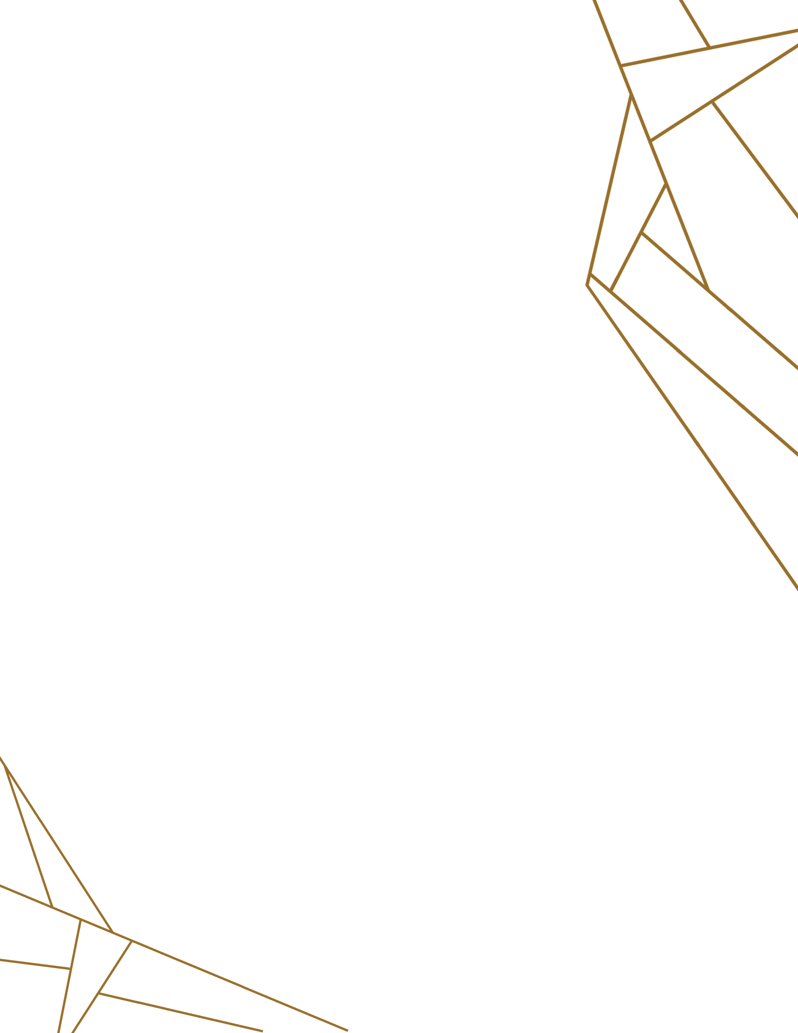 Wedding BG – Conscious Creations